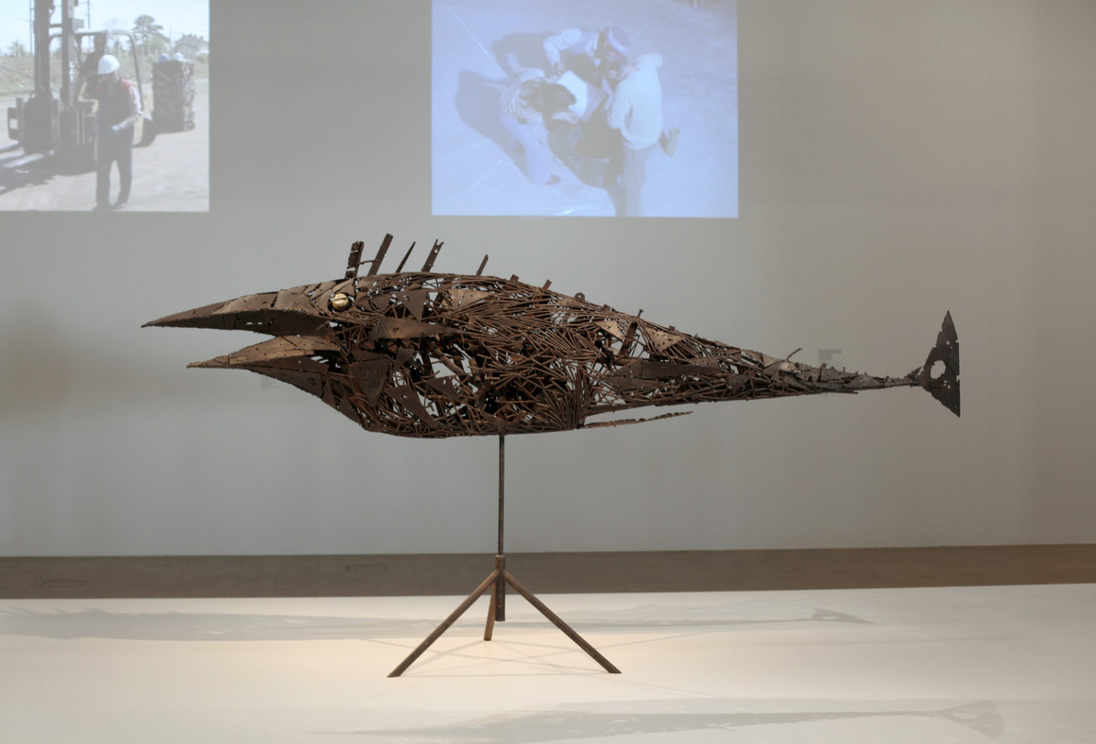 César – Entre modernité et tradition - sculpture&collection